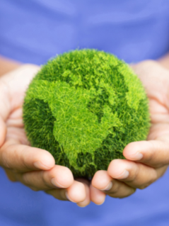 Euroclad Group Ɩ Architectural Metal Wall & Roof Systems